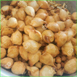 Industrial Samosa Pakora Frying Machine 300KG/H - Frying Solution